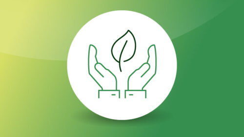 Launch of our Sustainability Charter - Independent Governance Group